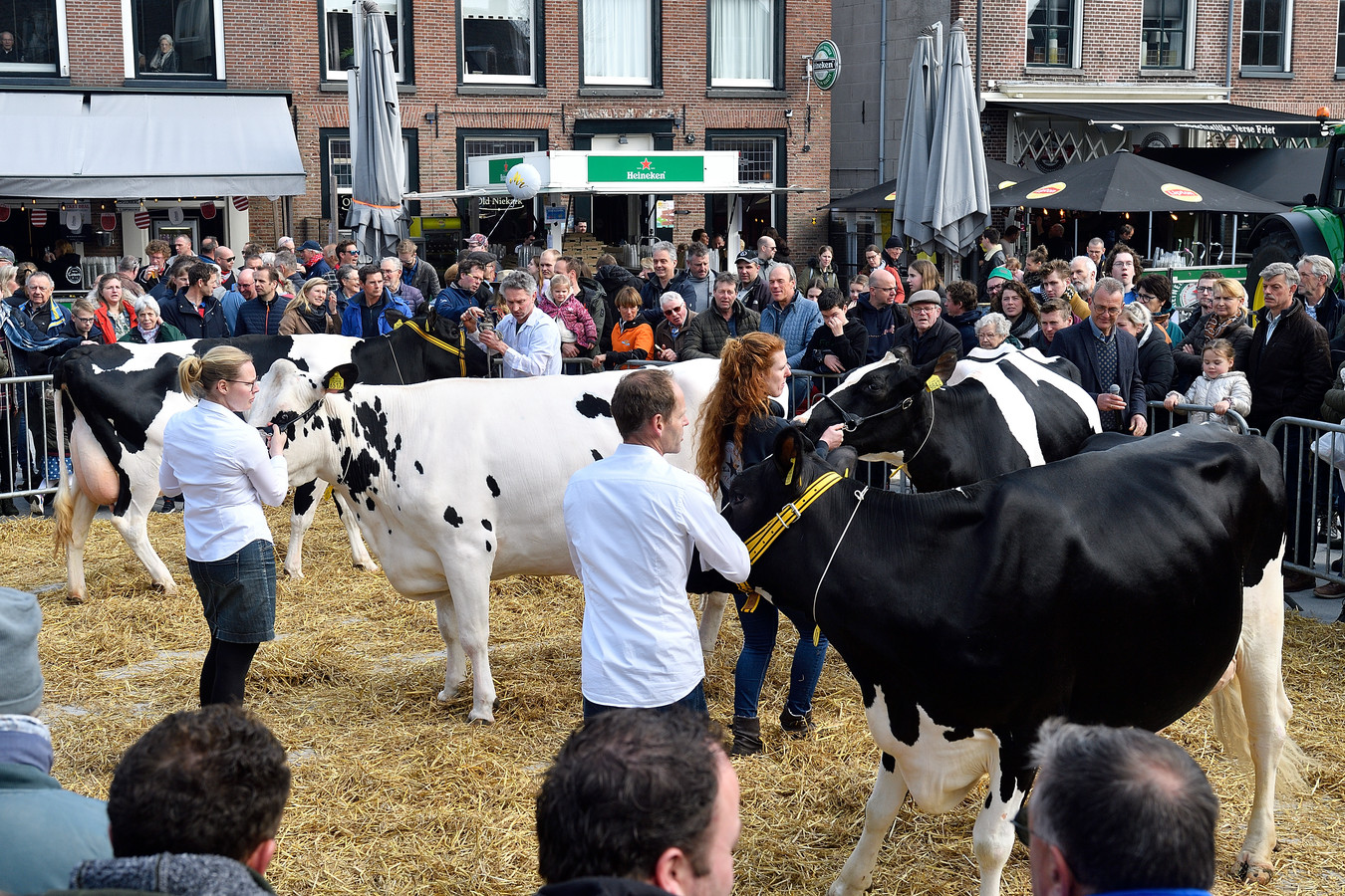 Koeien keuren, schapen scheren en ‘af en toe’ een biertje: zo ziet ...