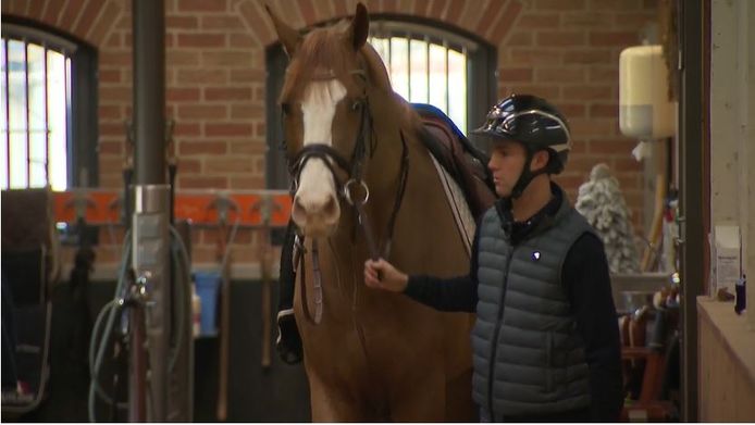 KIJK. Tophengst van Belgische ruiter is miljoenen waard: “Hij springt ongelooflijk” | Meer Sport ...