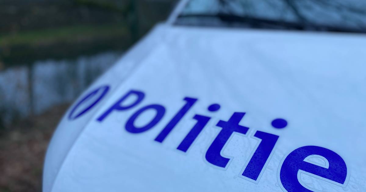 Dieven jatten nummerplaat van bromfiets | Willebroek | hln.be