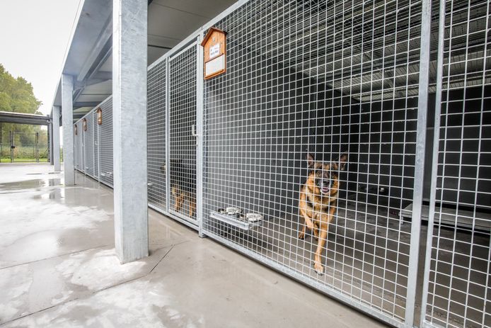 Modernste dierenasiel van het land is klaar, met dank aan erfenis van 1 ...