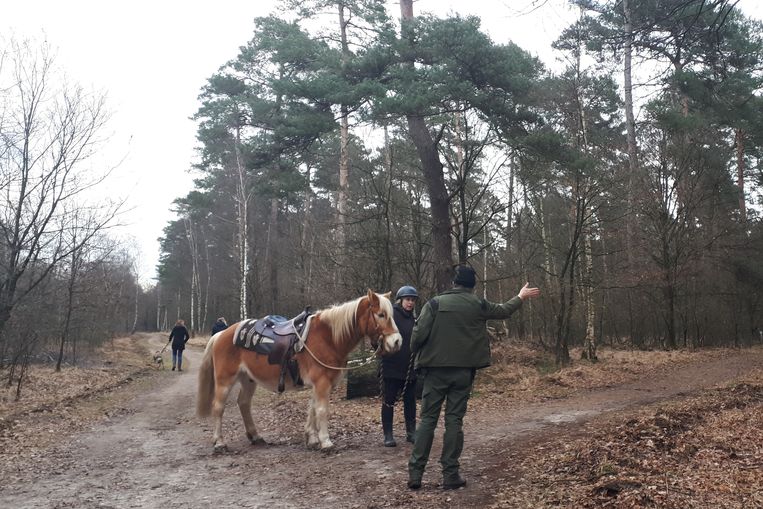 Om de stemming erin te houden, nam deze boswachter een Netflix-abonnement