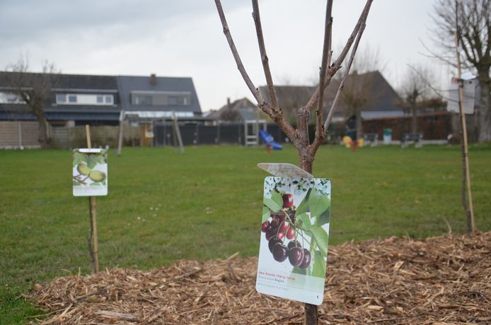Haaltert plaatst twintig picknickbanken en legt pluktuinen aan ...
