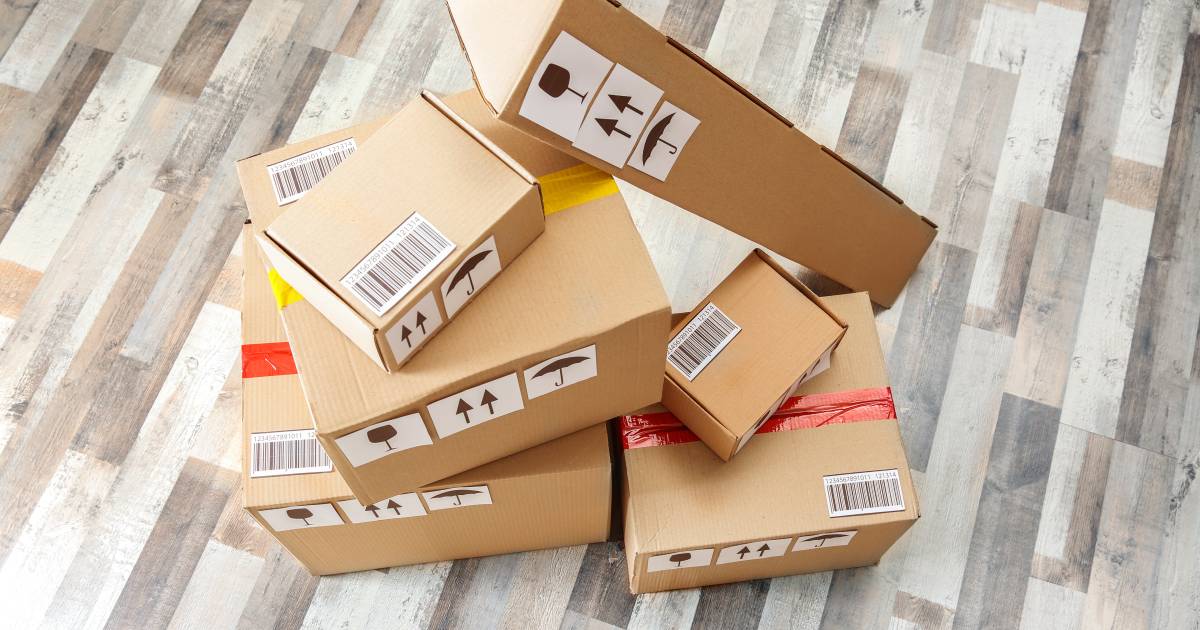 Pakketje te laat binnen? Man (26) uit Litouwen steelt bus van ...