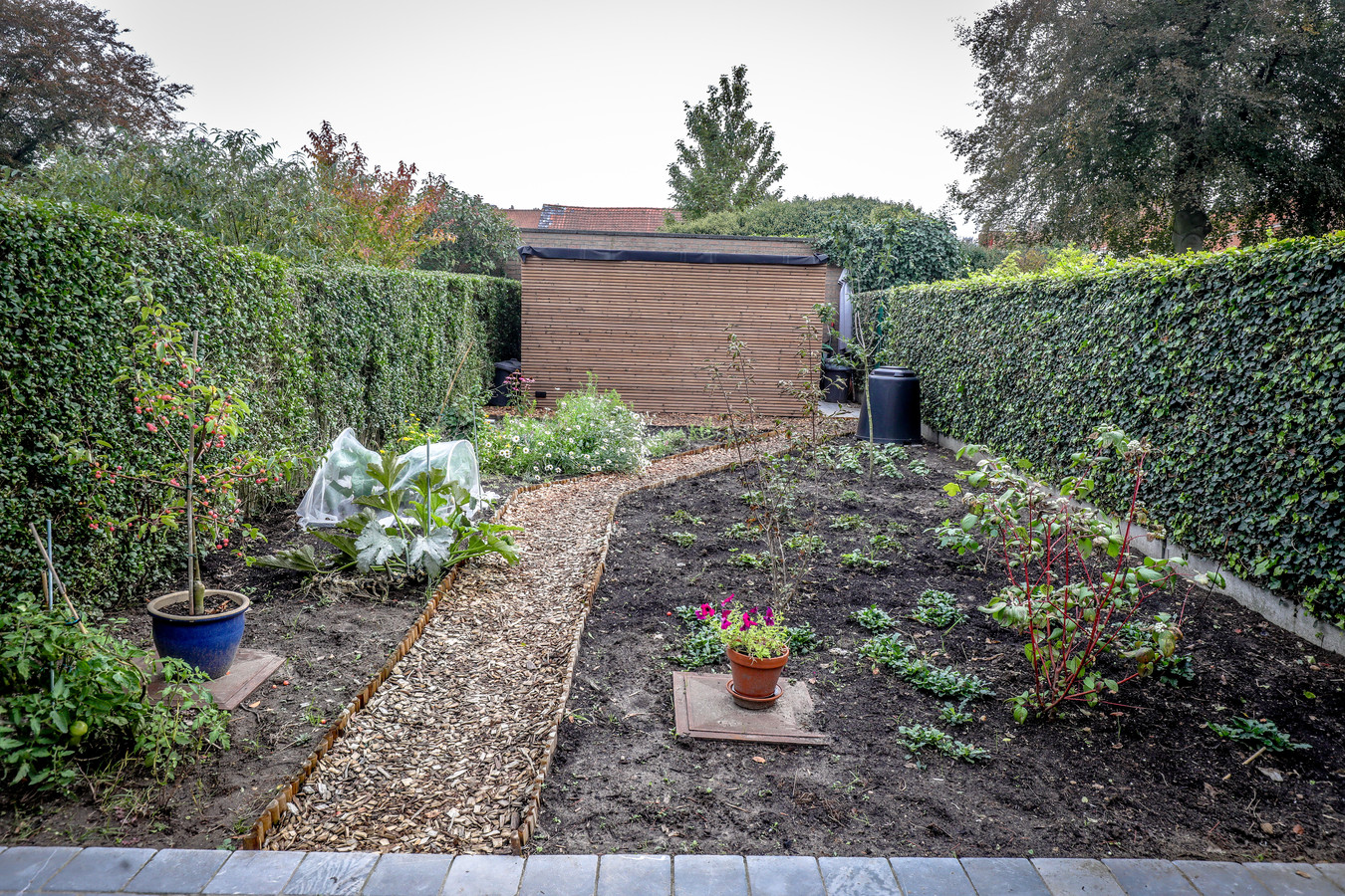Doe zoals An (58), laat een ‘coach’ je tuin omvormen tot een groene ...