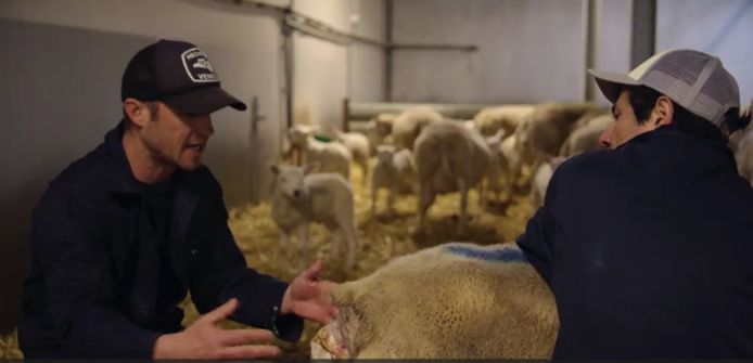 “Mijn trouwring zit nog ergens in dat schaap”: Mathias en Dieter ...