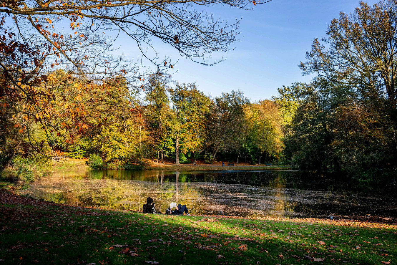 Herfst! Bekijk hier de mooiste kleurrijke foto’s in Gelderse parken | Foto | gelderlander.nl