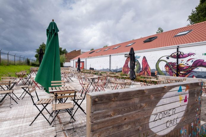 Zomercafé Rupel palmt tweede jaar op rij Rupeldijk in: “Gaan voor ...