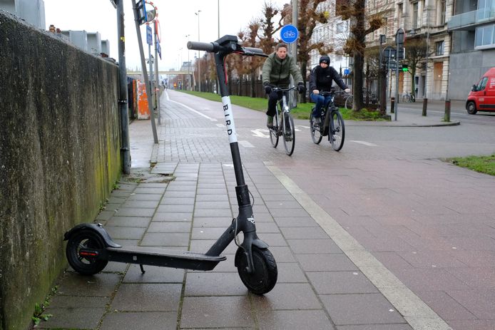 Antwerpen kiest voor de deelstep: twee nieuwe spelers kondigen komst ...