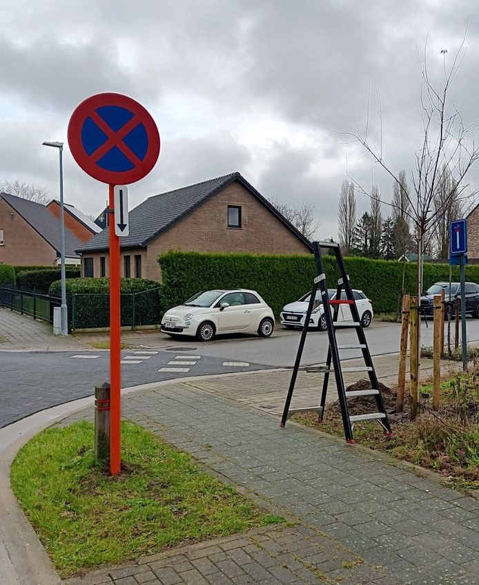 Parkeerverbod moet verkeersveiligheid in Driedostraat verbeteren | Oud ...