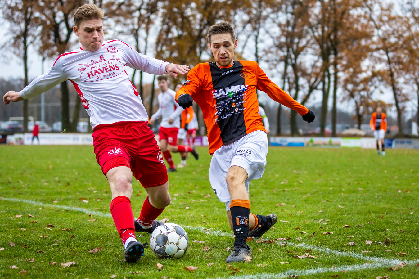 Na fenomenaal 2022 mag Volharding zelfs dromen van terugkeer op ...