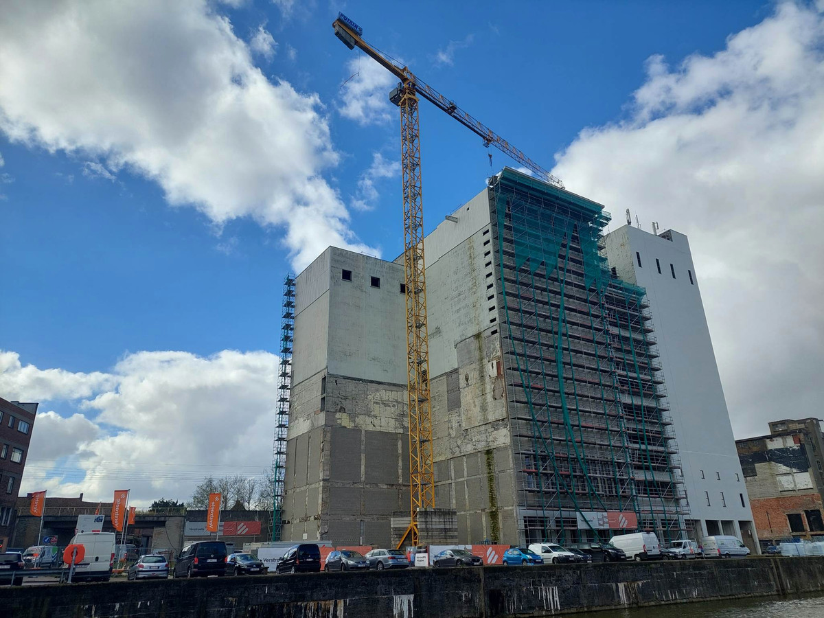 Meiboom gezet op 60 meter hoogte: Silocomplex Hanekop wordt tweede ...
