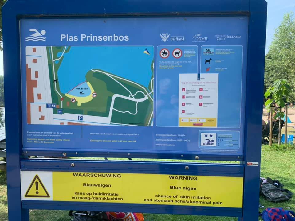 Toch waarschuwing in Prinsenbos vanwege blauwalg | Foto | AD.nl