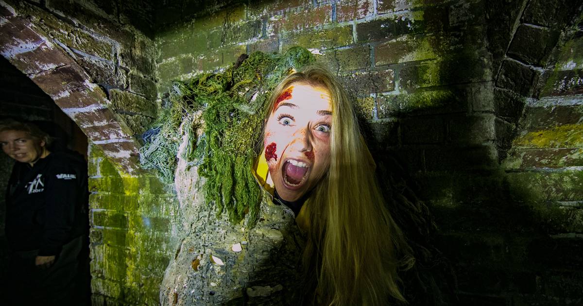 Griezelen met ongedierte in het nieuwe spookhuis van Walibi | Dronten ...