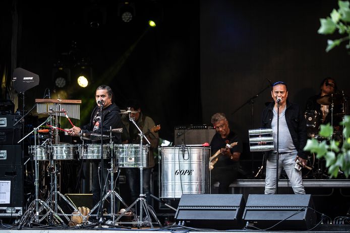 Stadspark wordt begin juli twaalf dagen omgetoverd tot Ede Beach: ‘Voor ...