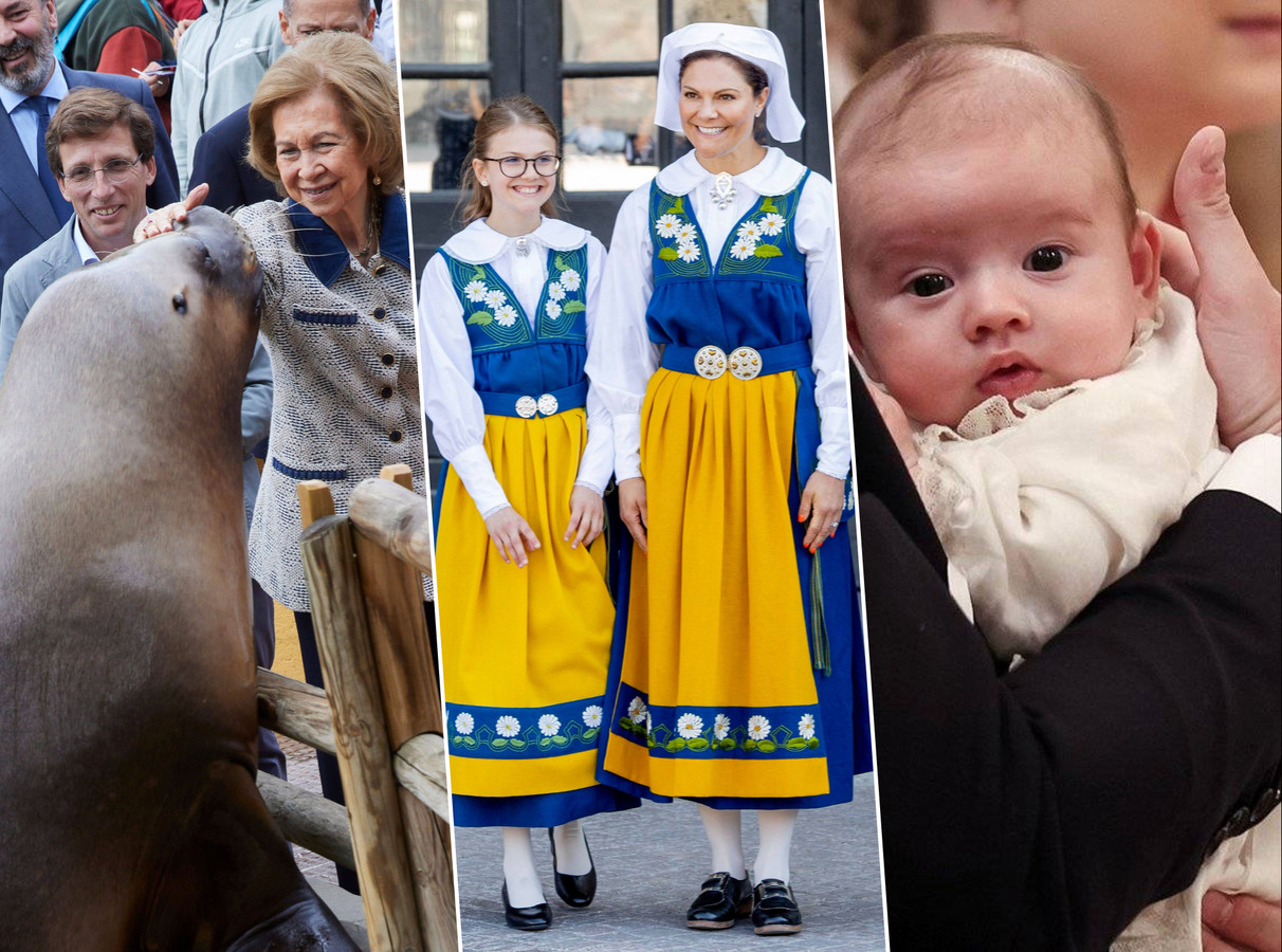 ROYALTYCHECK. De zeeleeuw van Sofía, de verhuizing van Nikolai en de nieuwe foto van babyprinsje ...