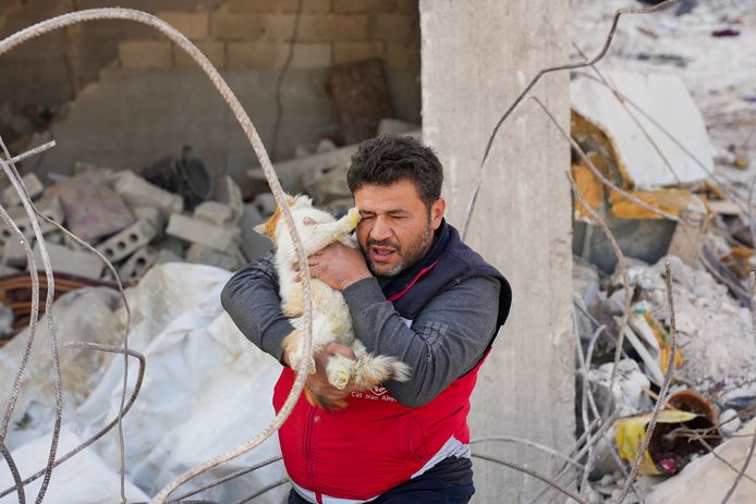 ‘Kattenman van Aleppo’ redde honderden kattenlevens tijdens Syrische Burgeroorlog, nu haalt hij ...