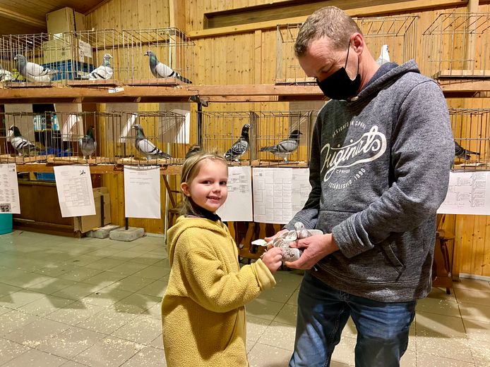 Duiven en duiveneieren voor Collette (5) geveild voor 14.600 euro ...