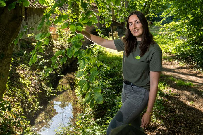 Wandelen met Landschap Overijssel: ‘In het Dal van de Mosbeek is een ...