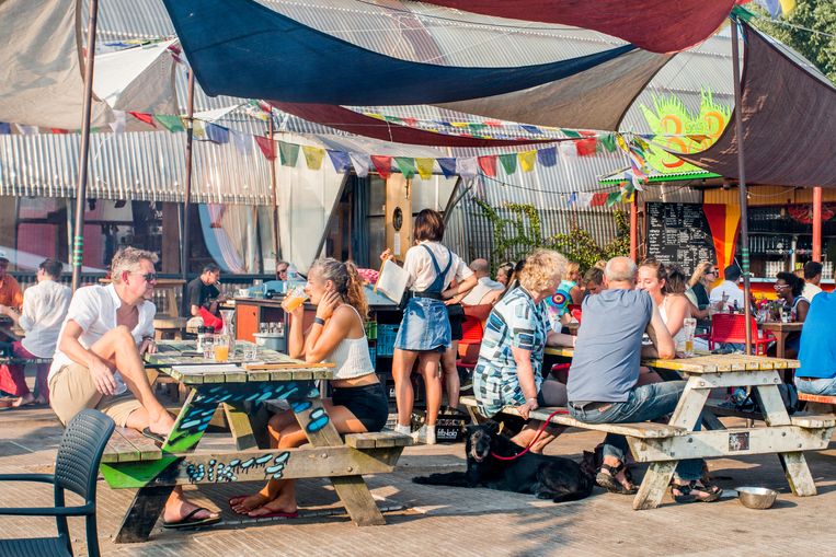 ‘Tijdelijk’ Noorderlicht mag na dertien jaar onderhandelen definitief ...