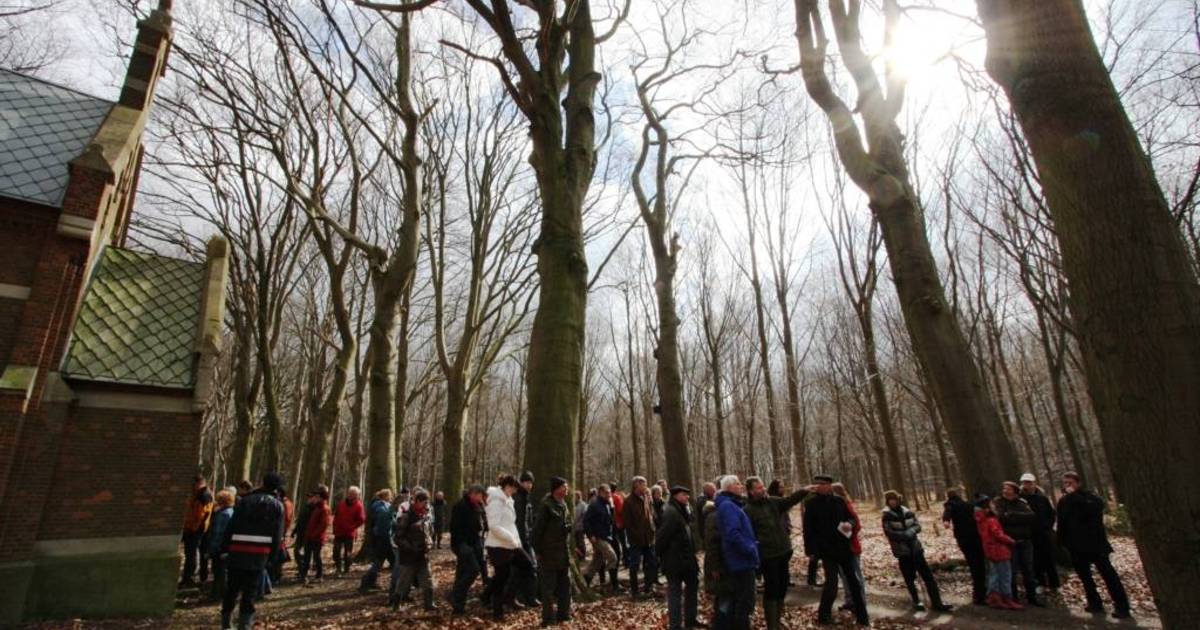 Dassenberg maakt nieuwsgierig | Bergen op Zoom | bndestem.nl
