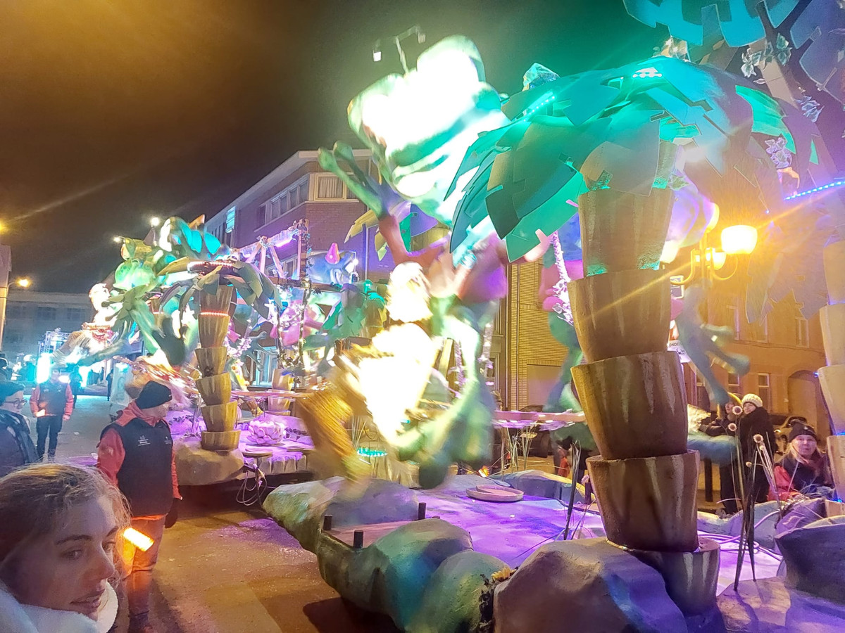 IN BEELD. Prachtige praalwagens en mooie kostuums op carnaval in ...