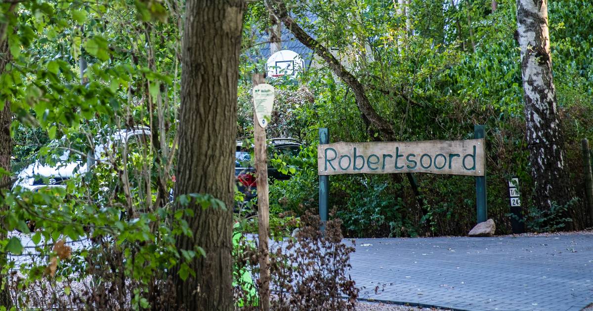 'Stinkend grondwater' op Eerbeekse camping zorgt niet voor ...