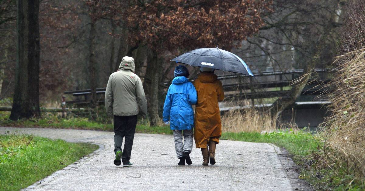 Kans op forse hoeveelheden regen: ‘Op en top herfstweek’ | Binnenland ...