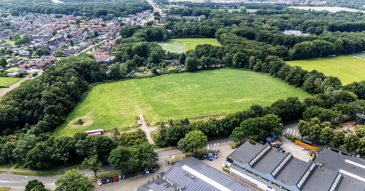 Van tonnen in guldens naar 13 miljoen euro: hoe een gronddeal uit 1972 ...