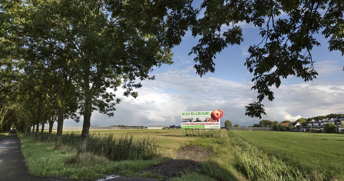 Eindelijk nieuwkomer op Nieuw Reijerwaard | Rotterdam | AD.nl