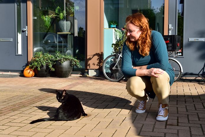 Poes Whisky werd doorboord met pijl: wat bezielt een dierenbeul ...