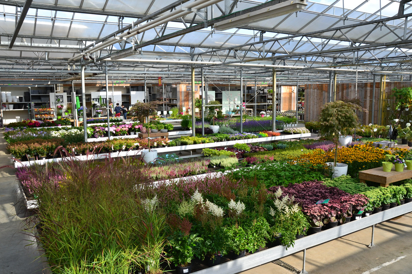 Met de hulp van deze 7 tuincentra in Waasland en Dendermonde maak jij ...