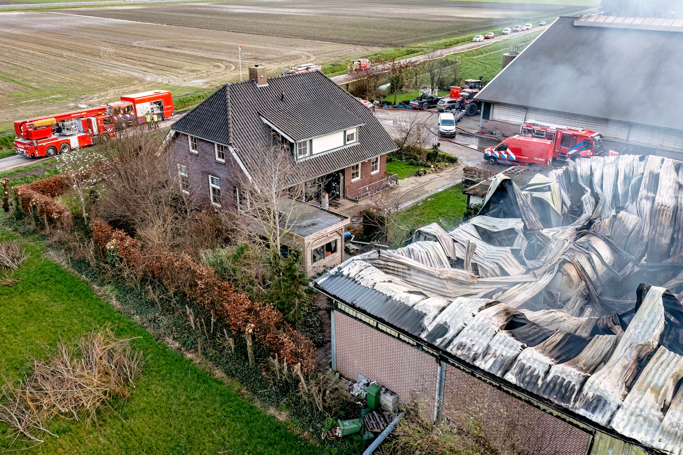Enorme ravage bij brand in koeienstal in Terheijden, twintig koeien en ...