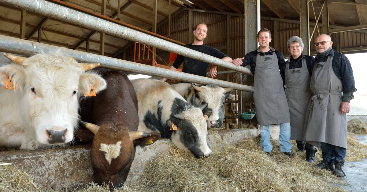 Eigen dikbil levert Boreftse slagersfamilie veel succes op | Alphen | AD.nl