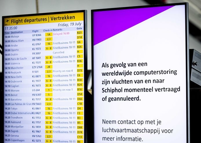 Wat veroorzaakte wereldwijde storing met blauwe schermen? En wat kan je ...