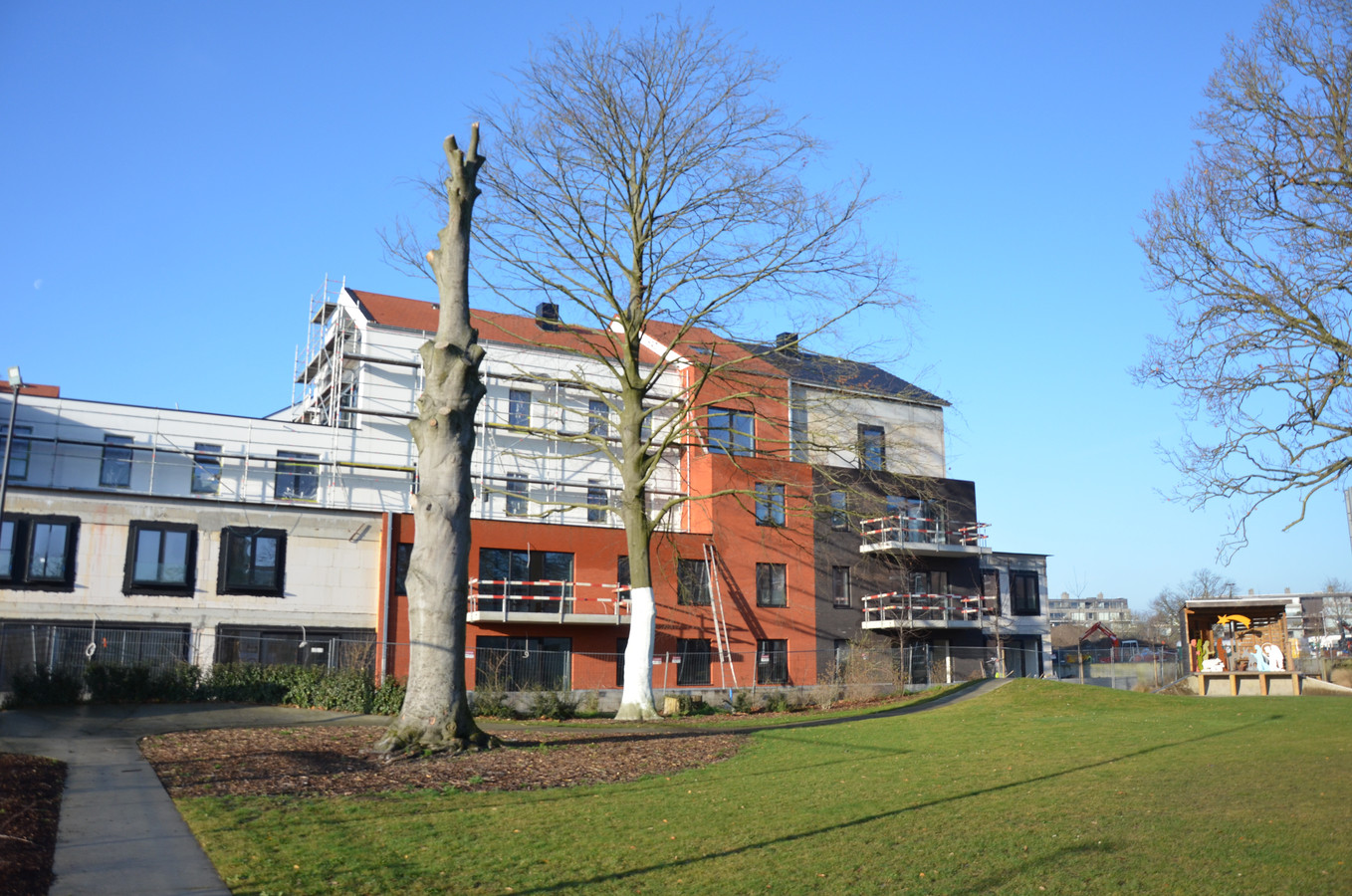De Hagewinde plant 16 moeraseiken aan in Poststraat: “Natuurlijk ...