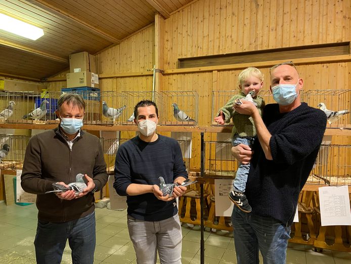Duiven en duiveneieren voor Collette (5) geveild voor 14.600 euro ...