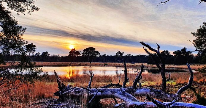 Van ijstijd tot toekomst: lezing over de Groote Heide in Waalre ...
