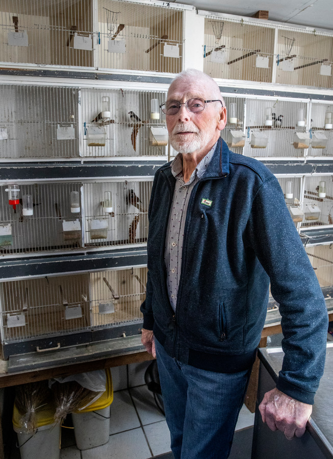 Vogels kweken brengt nieuw leven en dat trekt Wim Peters meer dan ...