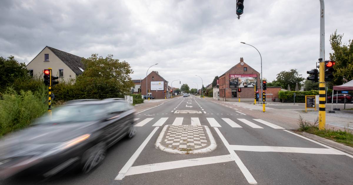 AWV werkt aan verkeerslichten kruispunt Putsesteenweg-Zwarte Leeuwstraat: “Fietsers en ...