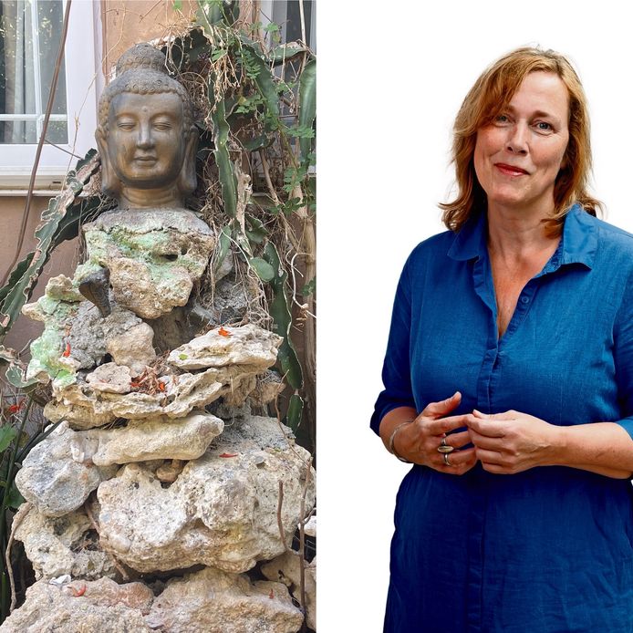 Ga terug naar eenentwintig | Columns | bndestem.nl