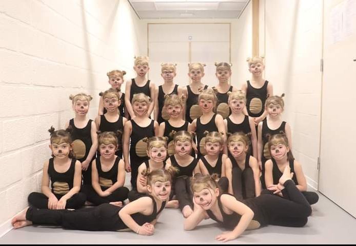 Na twee jaar opnieuw gymgala bij Sportgroep Vaste Vuist | Menen | hln.be