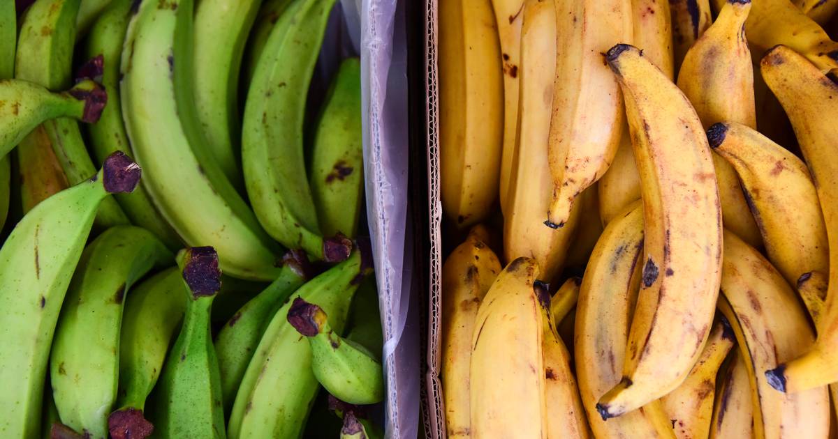 Waarom reageert je lichaam anders op een groene dan op een gele banaan ...