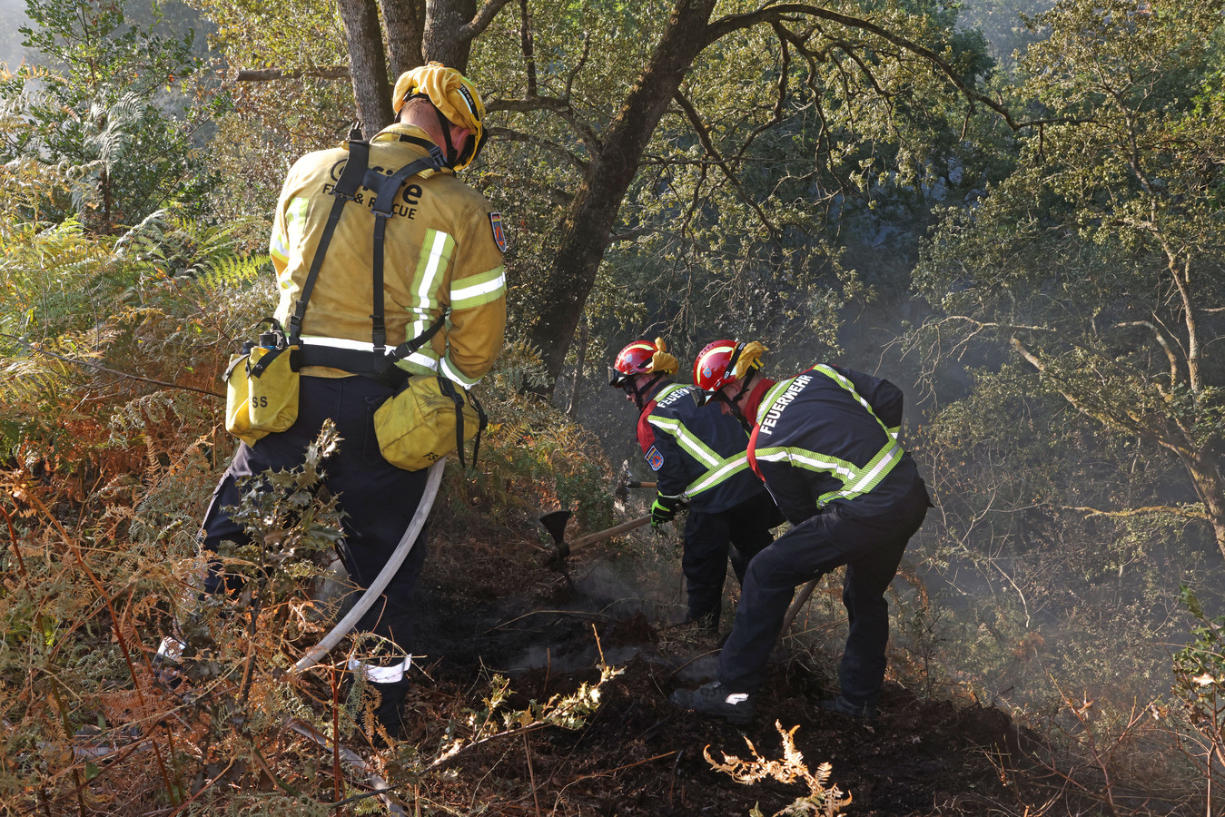 Incendies En France La Pluie Apporte Un Répit Dans La Lutte Contre