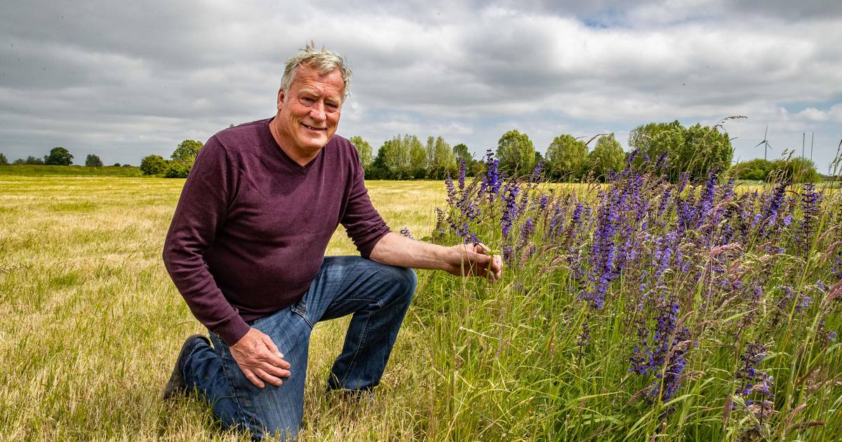 Boer Evert Jan (67) uit Voorst werkt natuurvriendelijk, mét succes ...