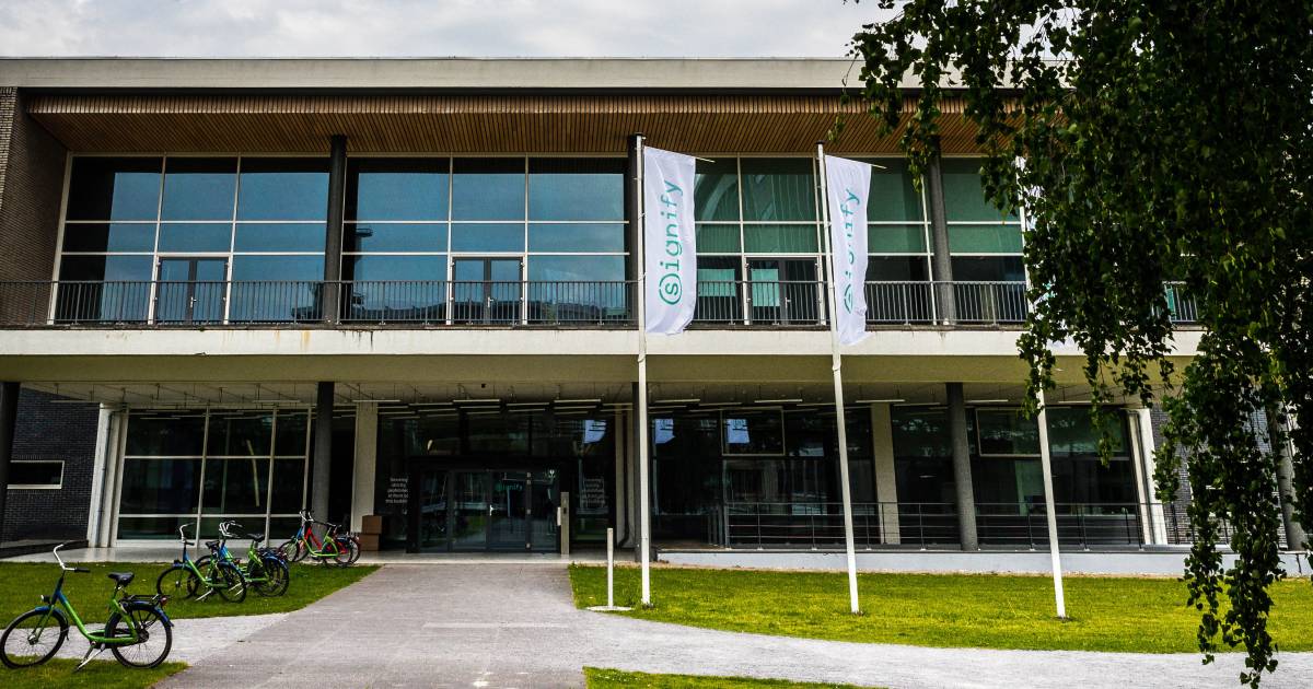 Lichtbedrijf Signify snoeit in top; hoogste baas Rondolat blijft langer ...