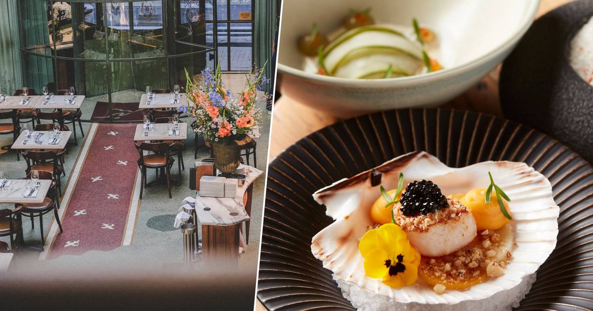 Van Pakhuis tot Nonam: in deze 7 restaurants in de regio Gent vier jij ...