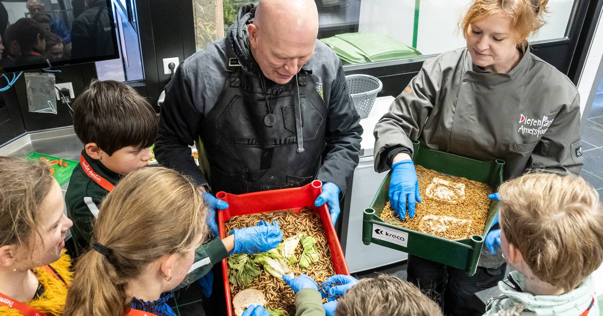 Dierenpark Amersfoort heeft een Dierkeuken en om dat te vieren bakt tv ...