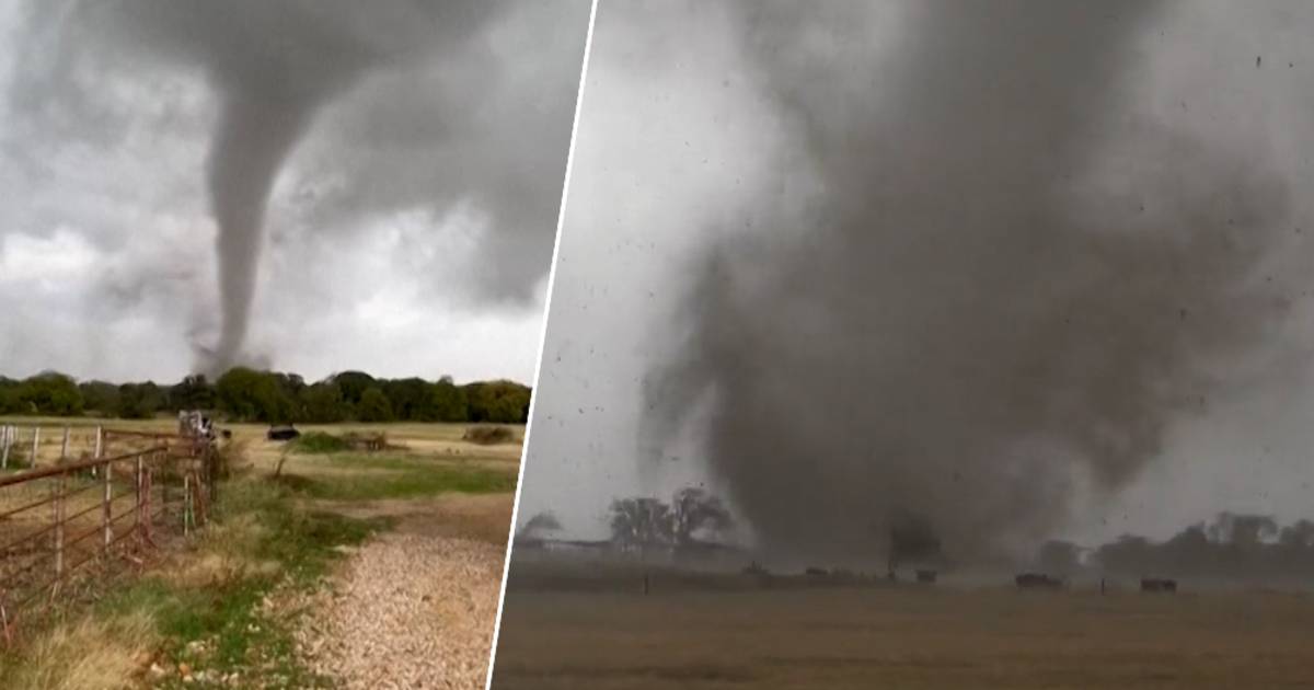 Beelden tonen hoe tornado door Amerikaanse staten raast, zelfs koeien ...
