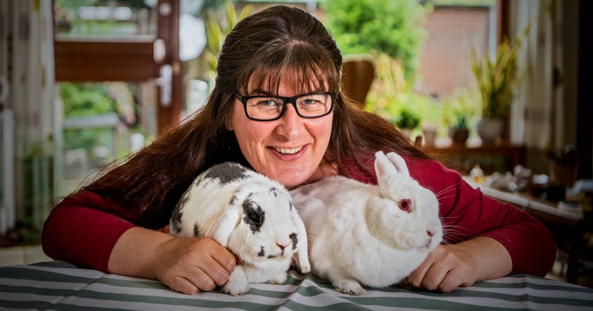 'Albino Roosje rolmodel voor konijntjes die niet gewild zijn' | Alphen ...