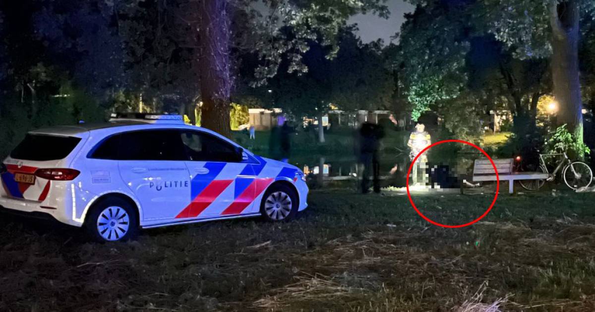 Wat speelde zich af bij Holterkolk in Deventer? Politie tast nog in het duister na vinden ...
